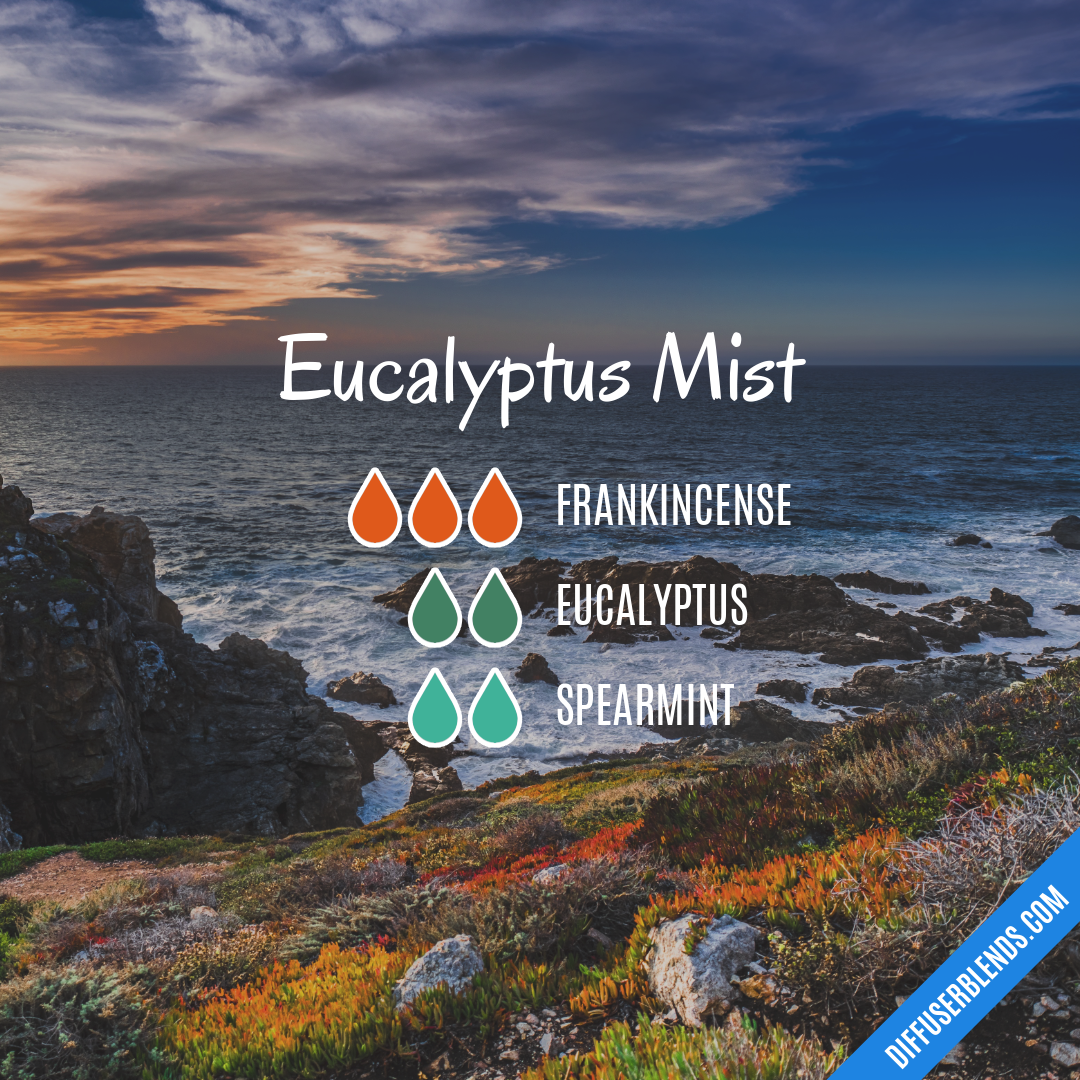 Eucalyptus Mist | DiffuserBlends.com