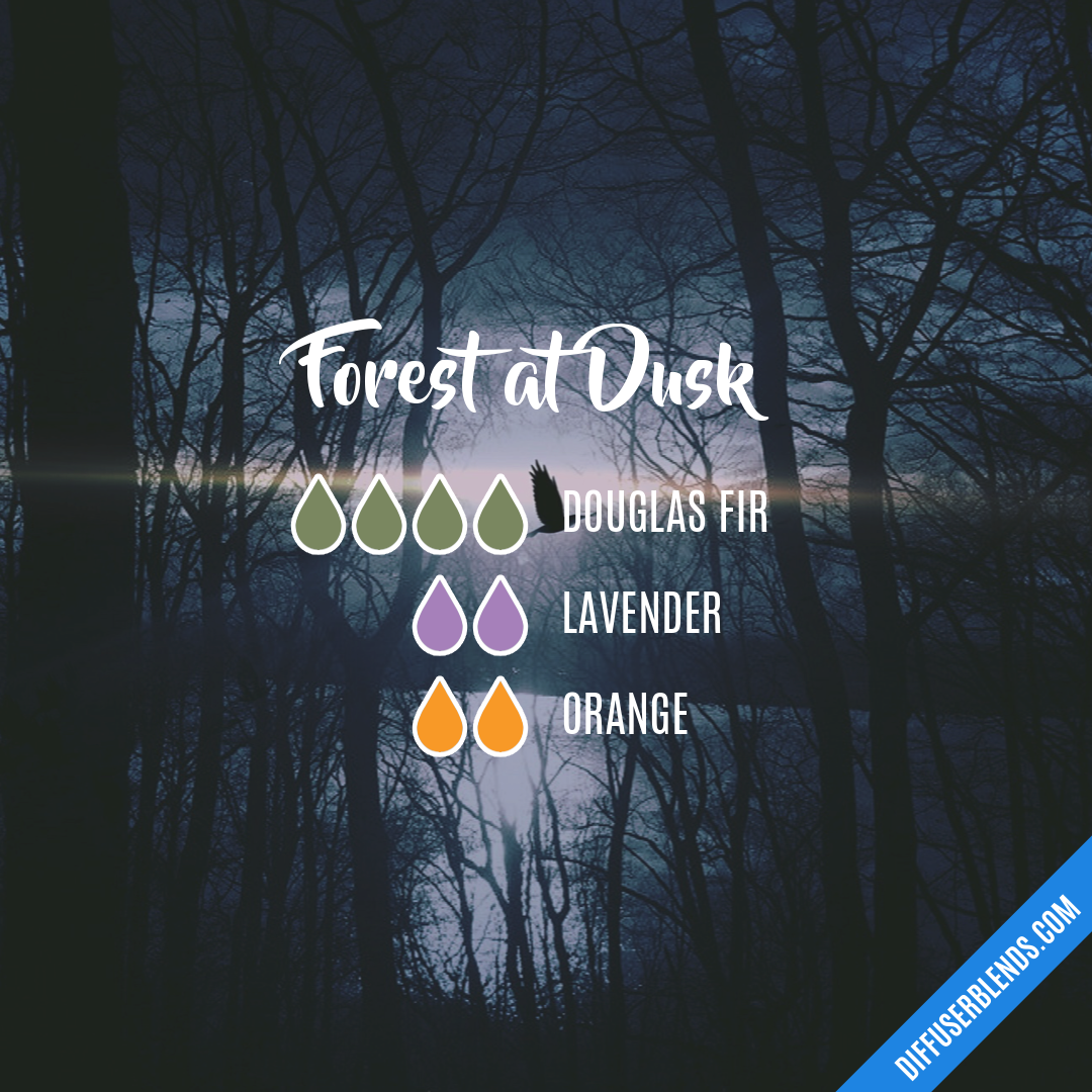 Forest at Dusk | DiffuserBlends.com