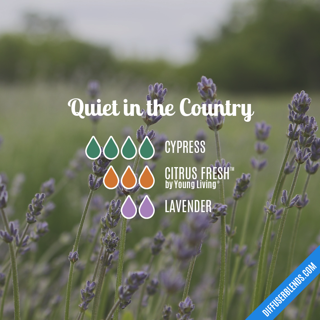 Quiet in the Country | DiffuserBlends.com