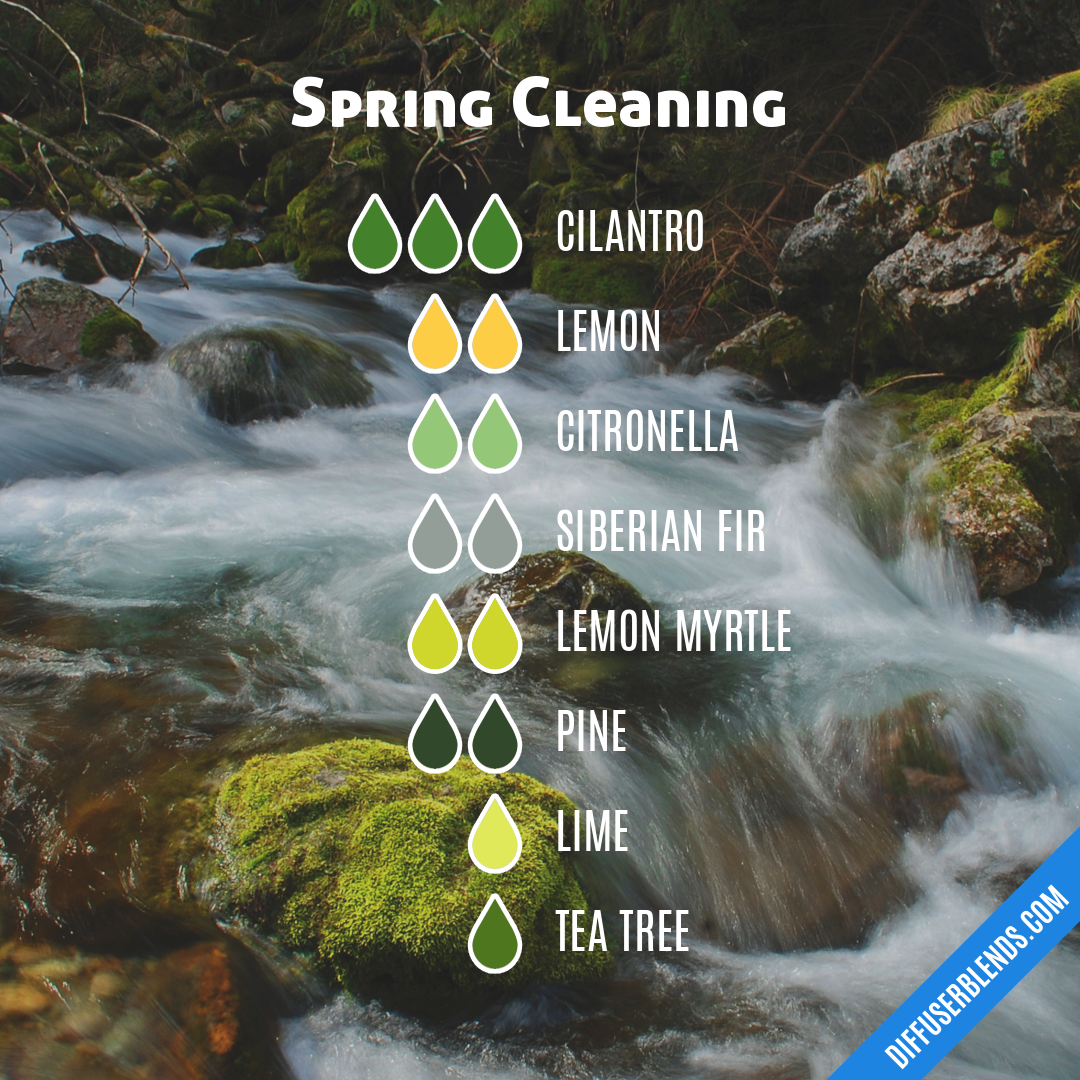 Spring Cleaning | DiffuserBlends.com