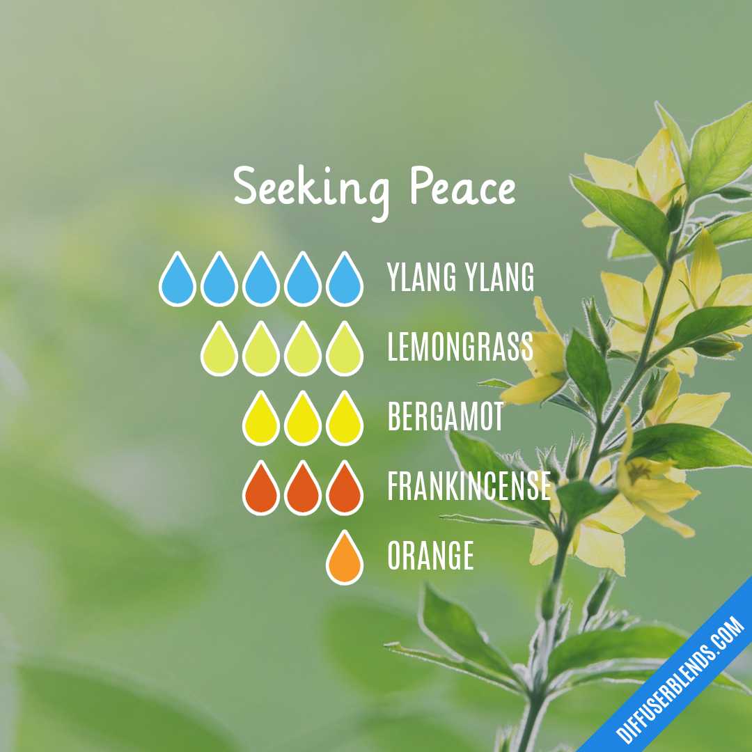 Seeking Peace | DiffuserBlends.com