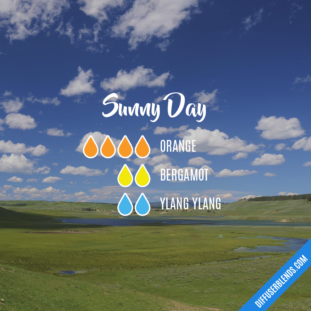 Sunny Day | DiffuserBlends.com