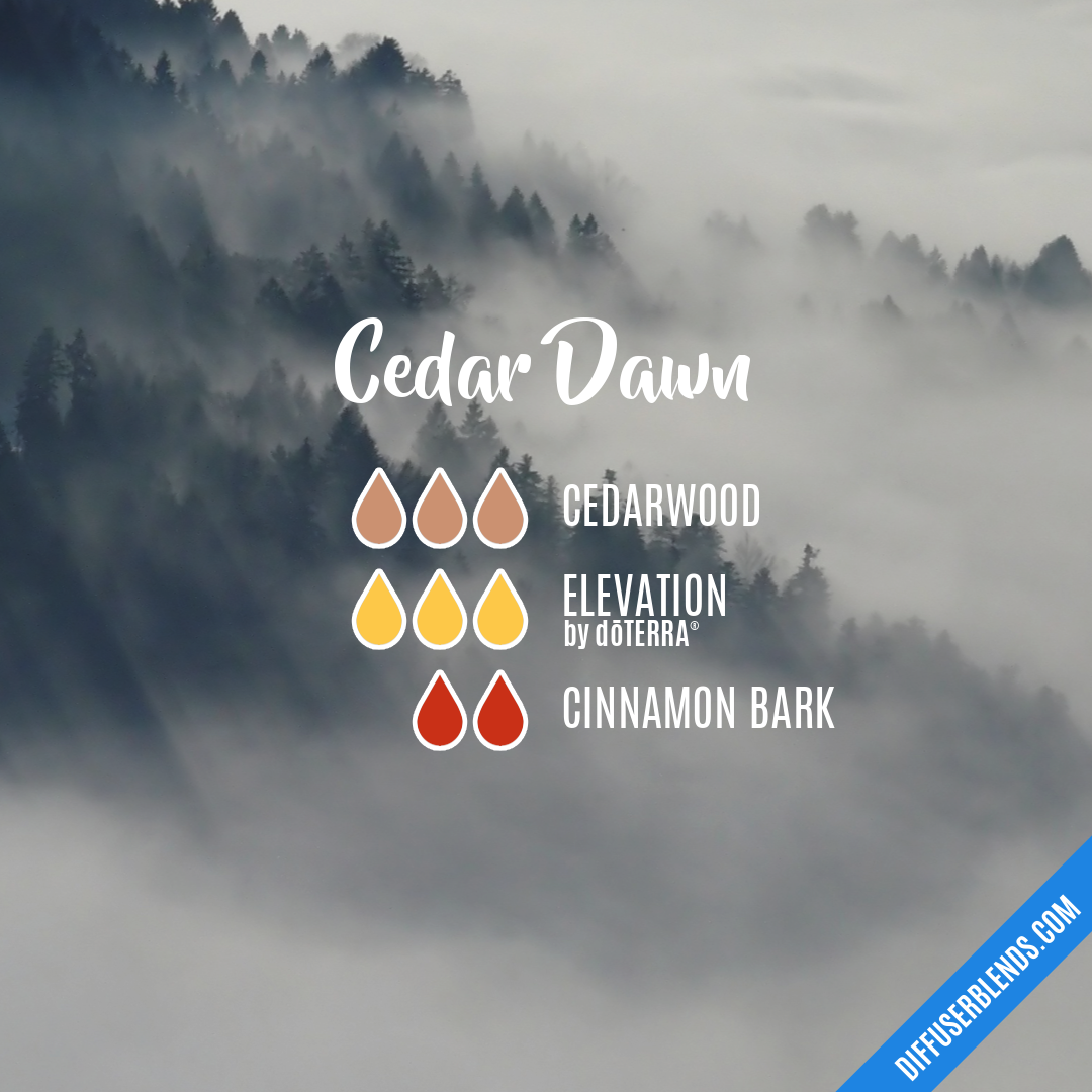 Cedar Dawn | DiffuserBlends.com