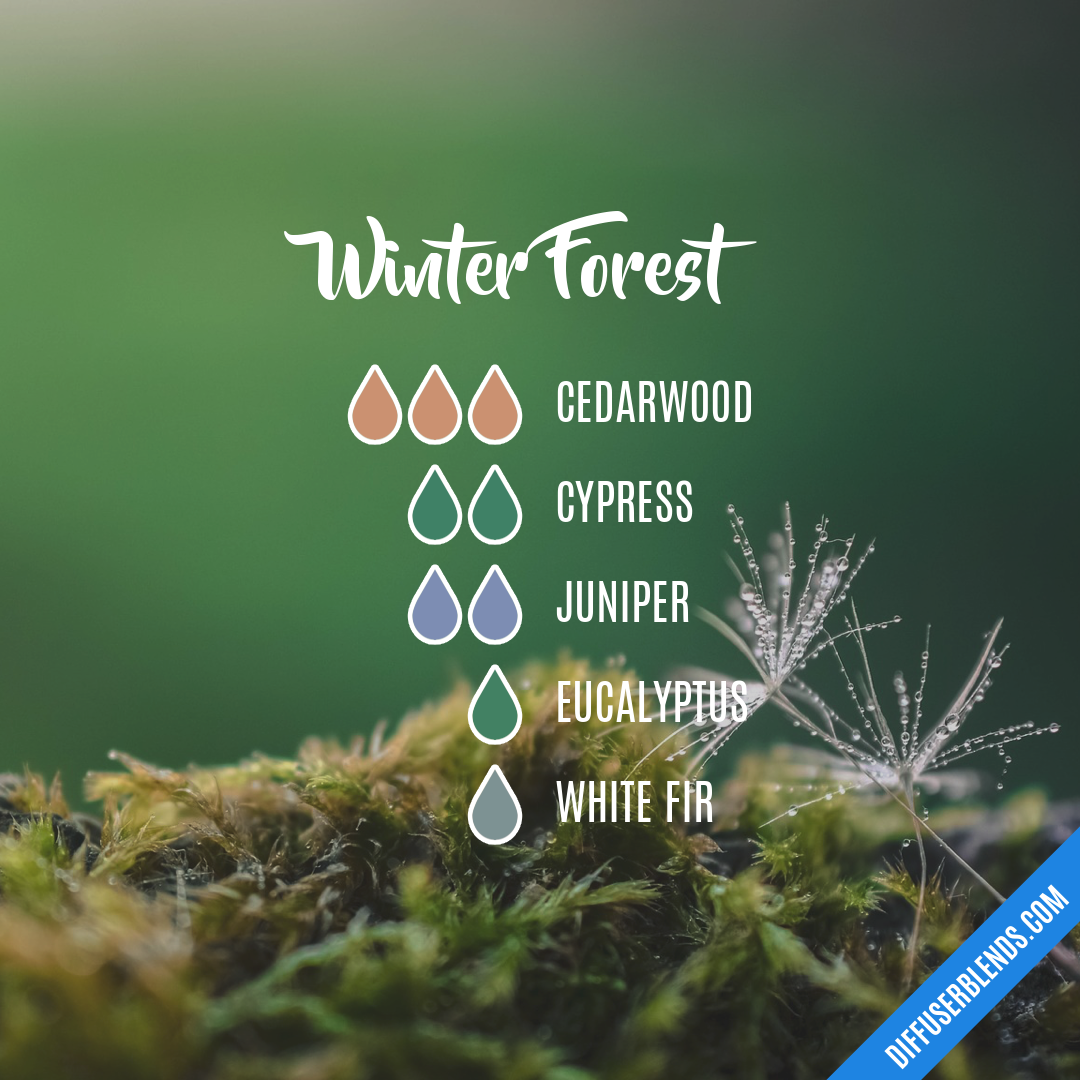 Winter Forest | DiffuserBlends.com
