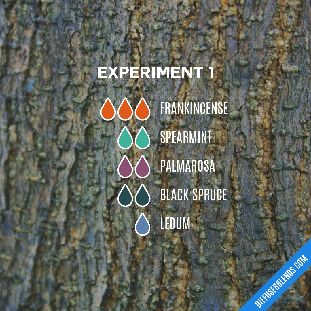 Experiment 1 | DiffuserBlends.com