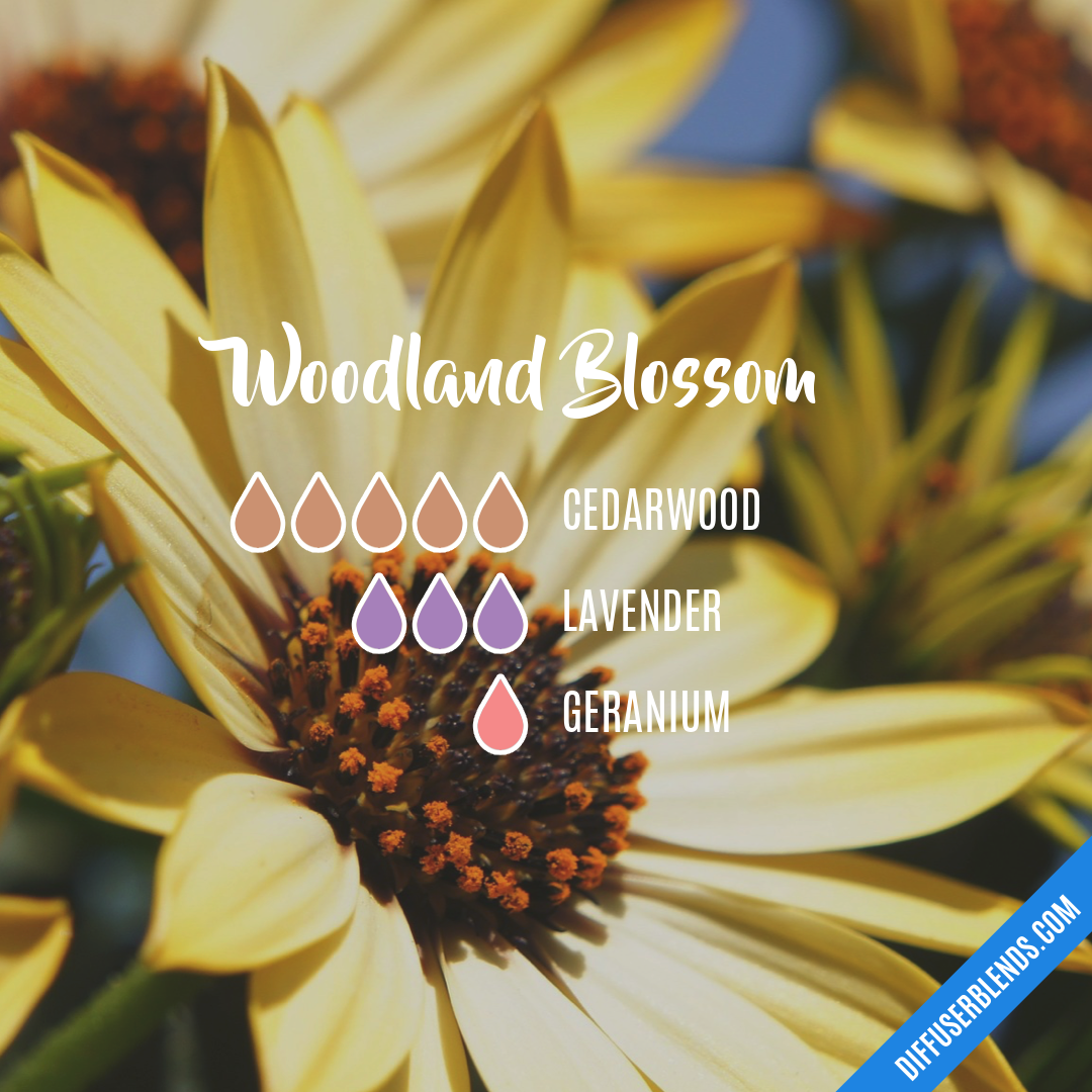 Woodland Blossom | DiffuserBlends.com