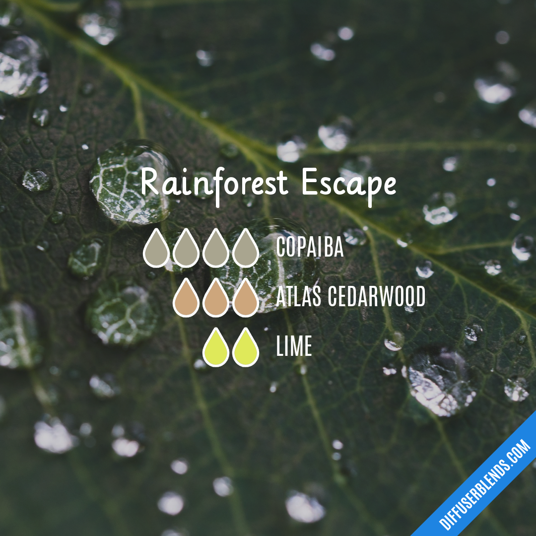 Rainforest Escape | DiffuserBlends.com