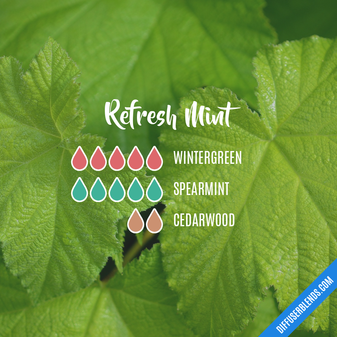 Refresh Mint | DiffuserBlends.com