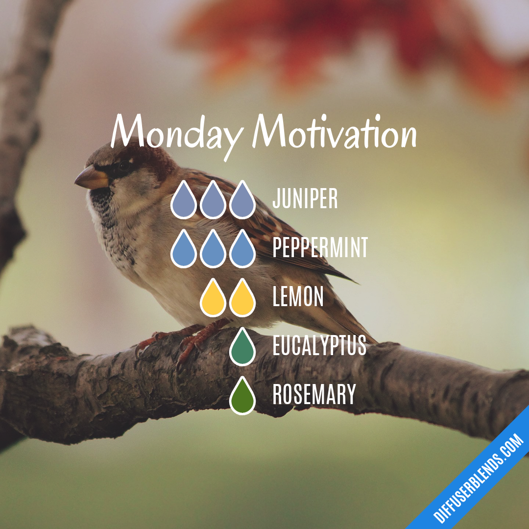 Monday Motivation | DiffuserBlends.com