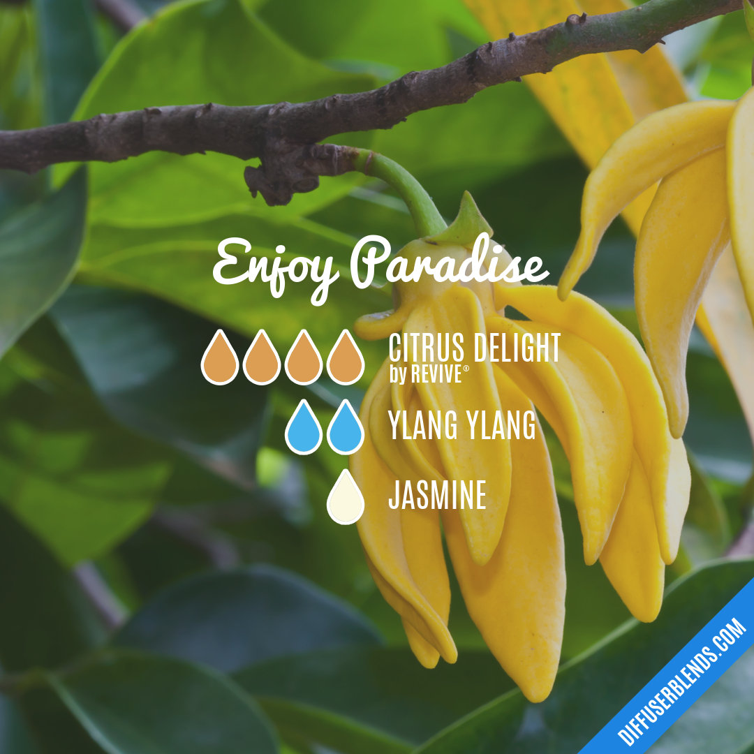 Enjoy Paradise | DiffuserBlends.com
