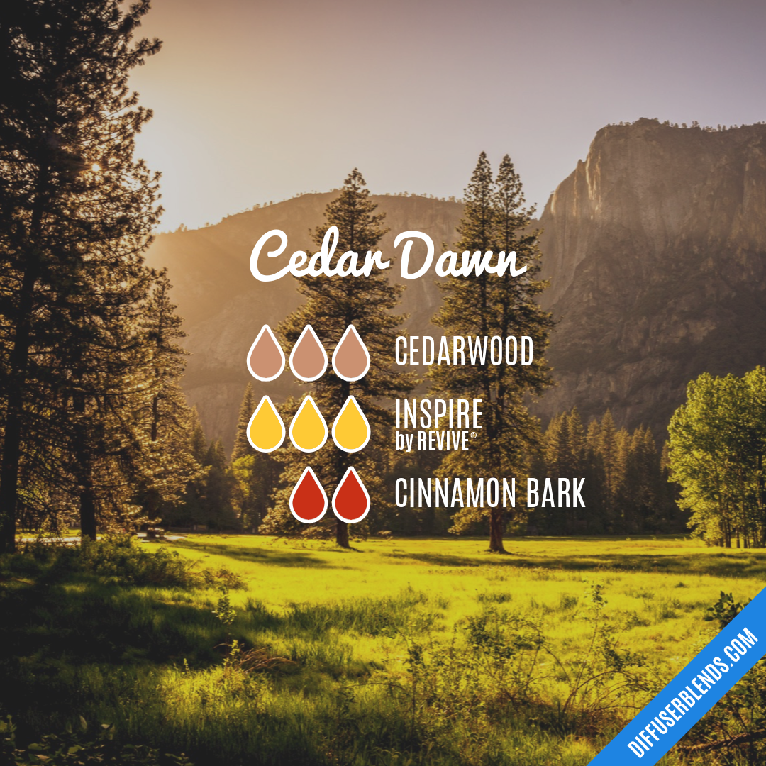 Cedar Dawn | DiffuserBlends.com