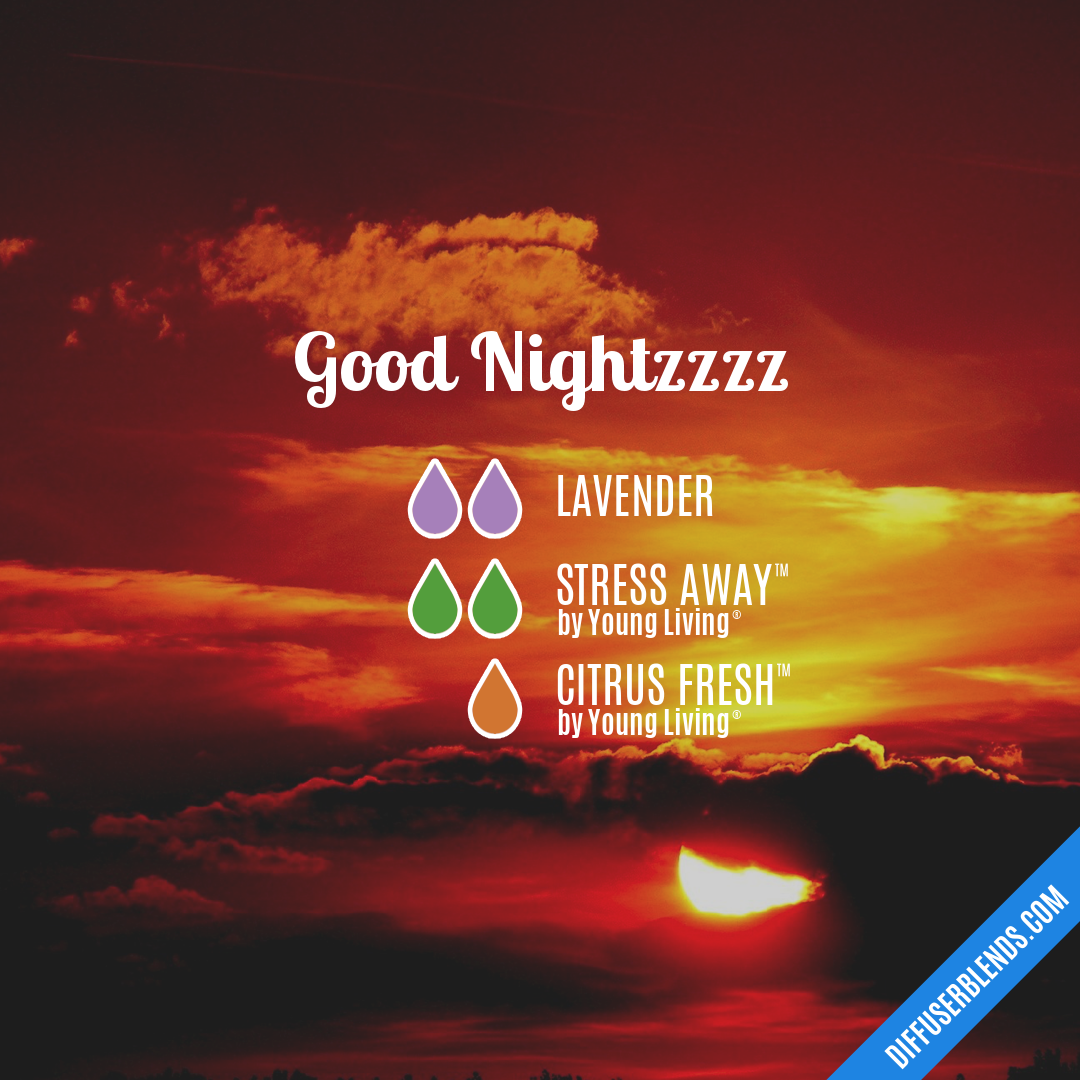 Good Nightzzzz | DiffuserBlends.com