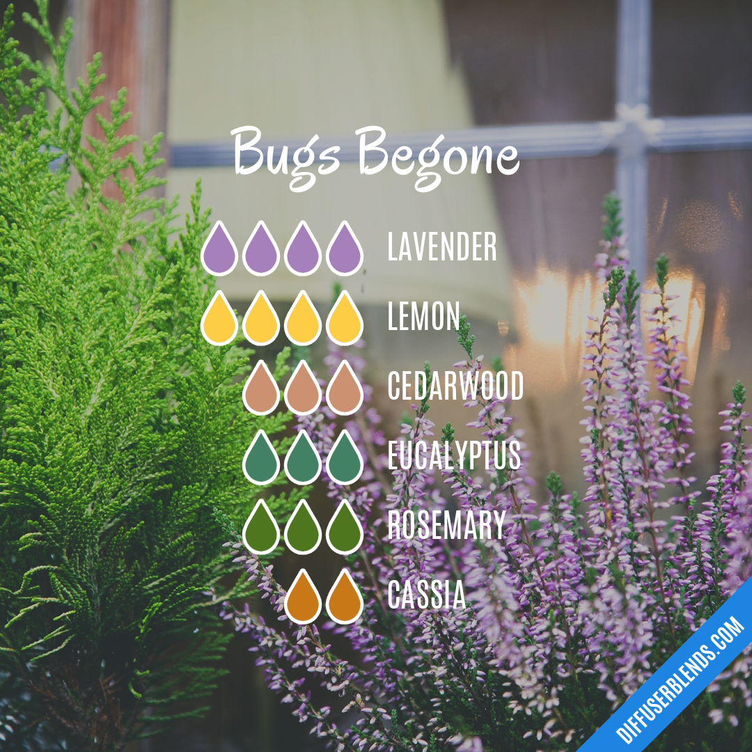 Bugs Begone | DiffuserBlends.com