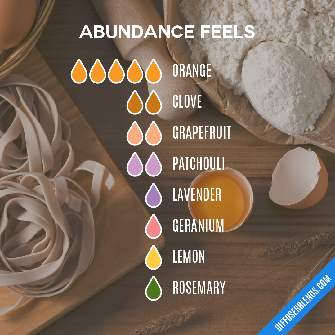 Abundance Feels Diffuserblends