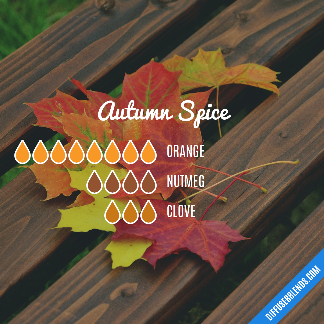 Autumn Spice | DiffuserBlends.com