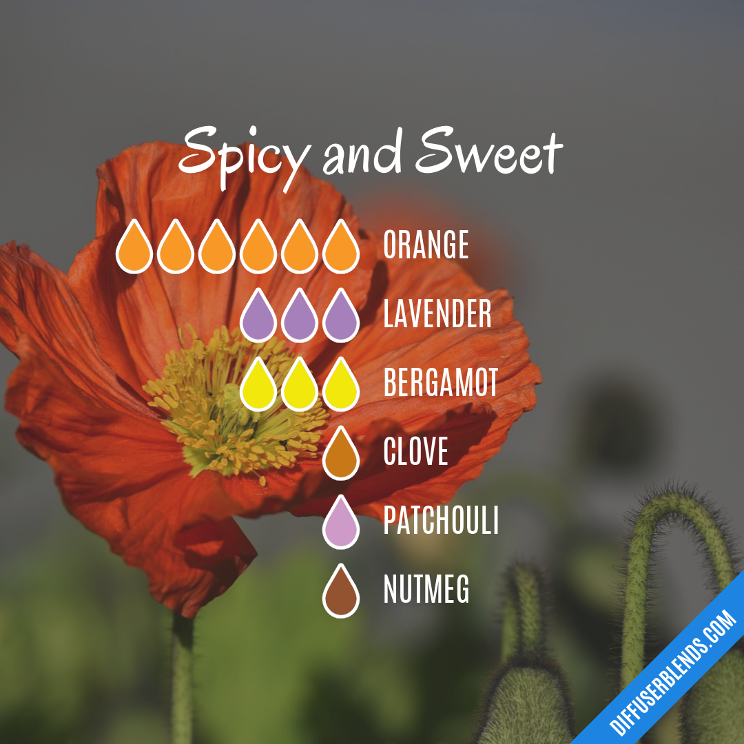 Spicy and Sweet | DiffuserBlends.com