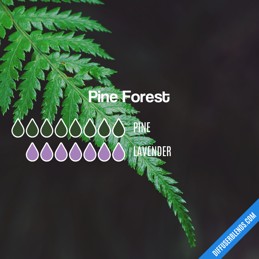 Pine Forest | DiffuserBlends.com