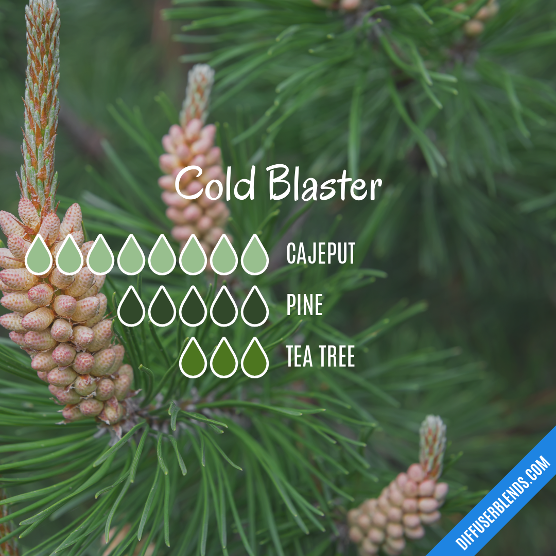 Cold Blaster | DiffuserBlends.com