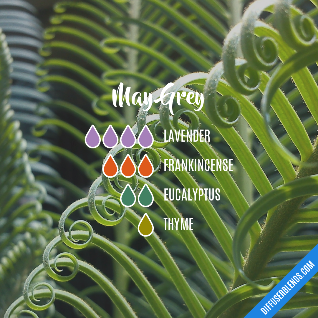 May Grey | DiffuserBlends.com