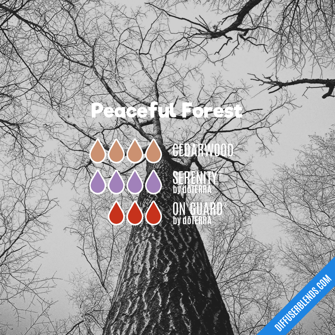 Peaceful Forest | DiffuserBlends.com