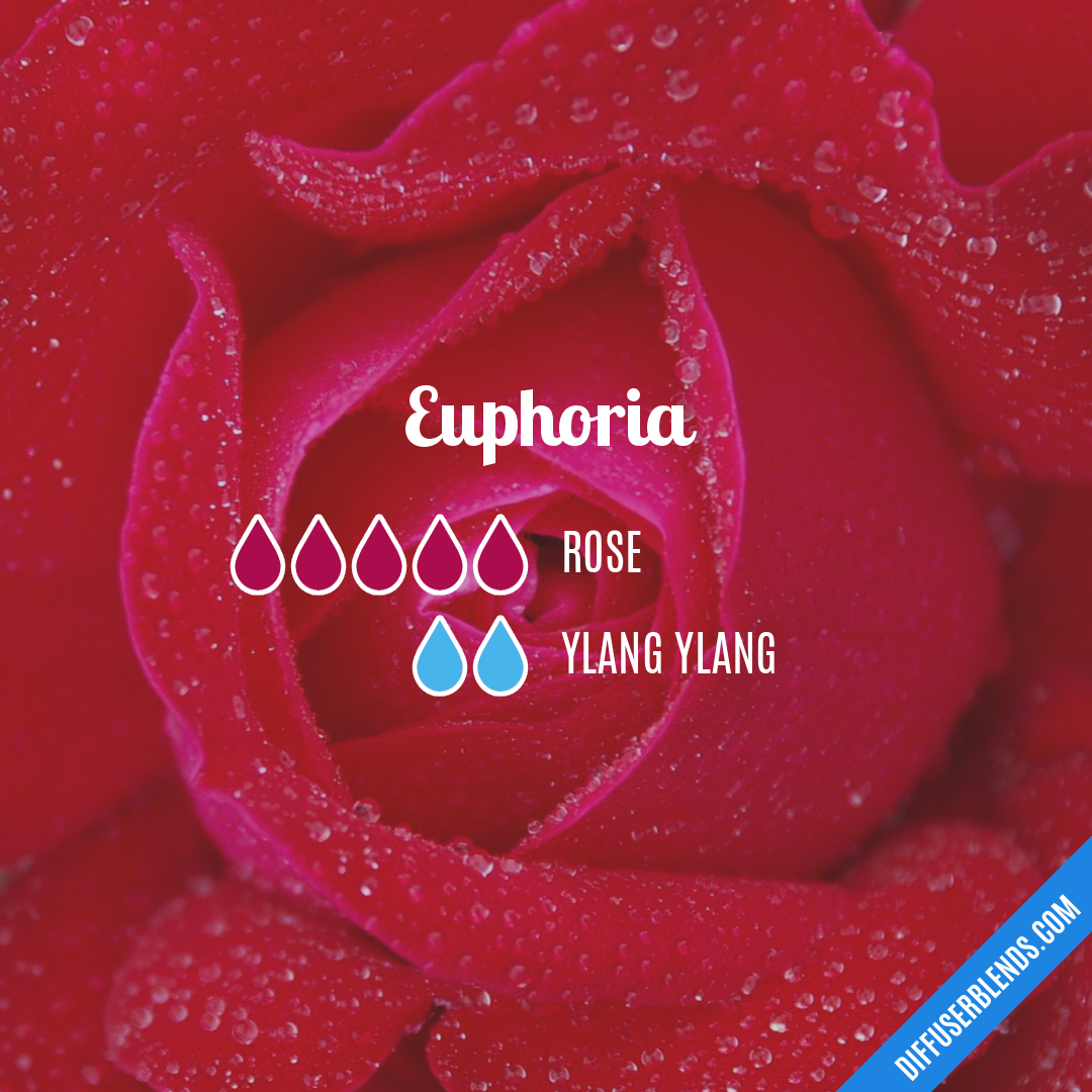 Euphoria | DiffuserBlends.com