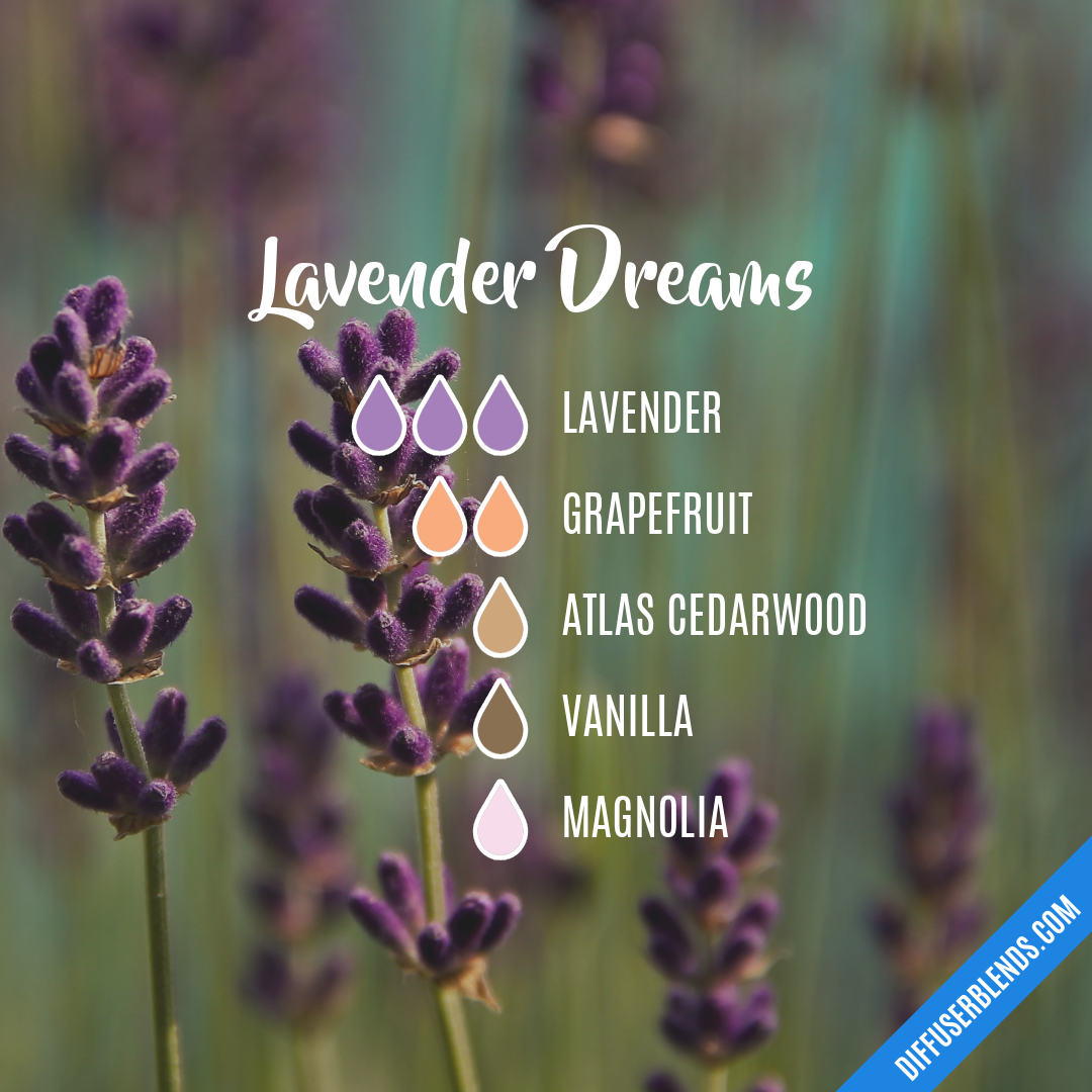 Lavender Dreams | DiffuserBlends.com