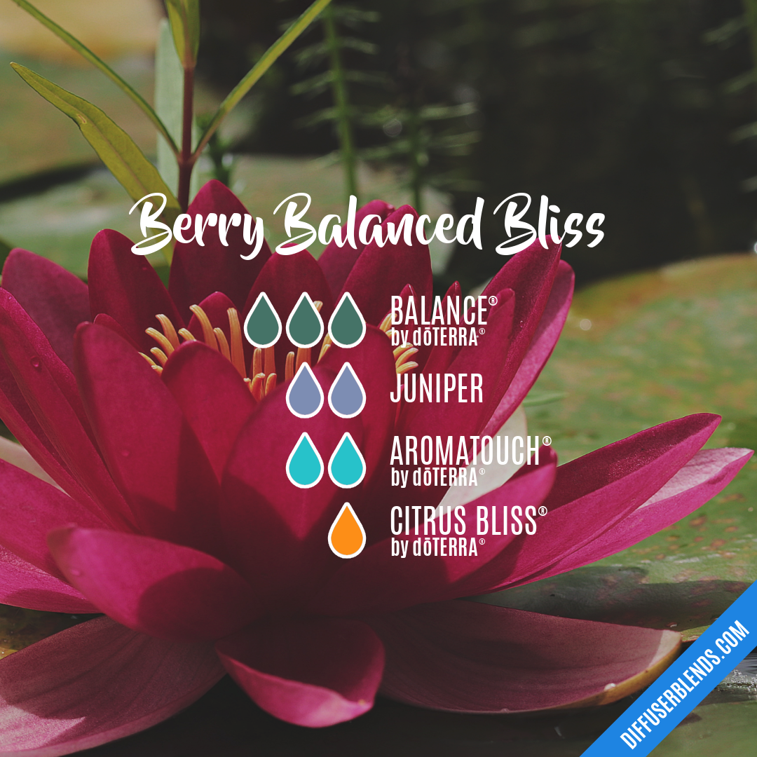 Berry Balanced Bliss | DiffuserBlends.com