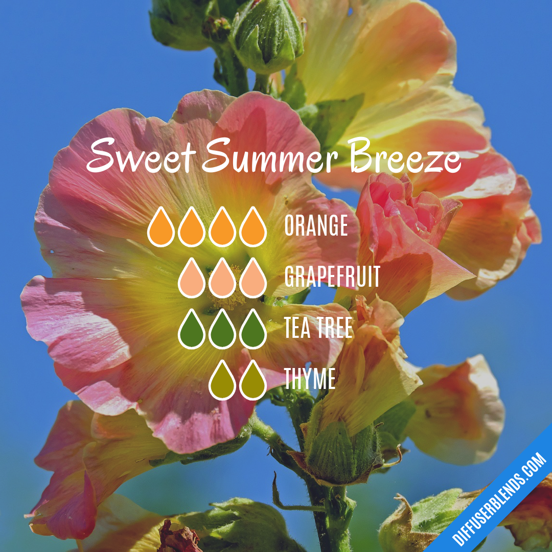 Sweet Summer Breeze | DiffuserBlends.com