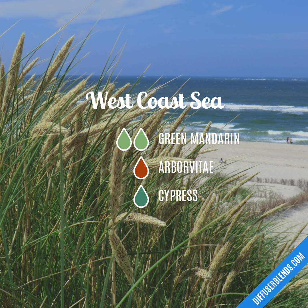 West Coast Sea | DiffuserBlends.com