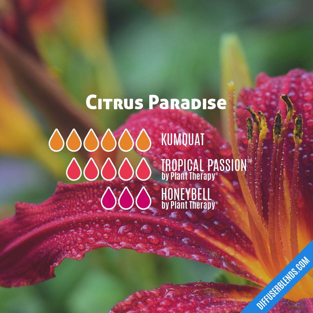 Citrus Paradise | DiffuserBlends.com
