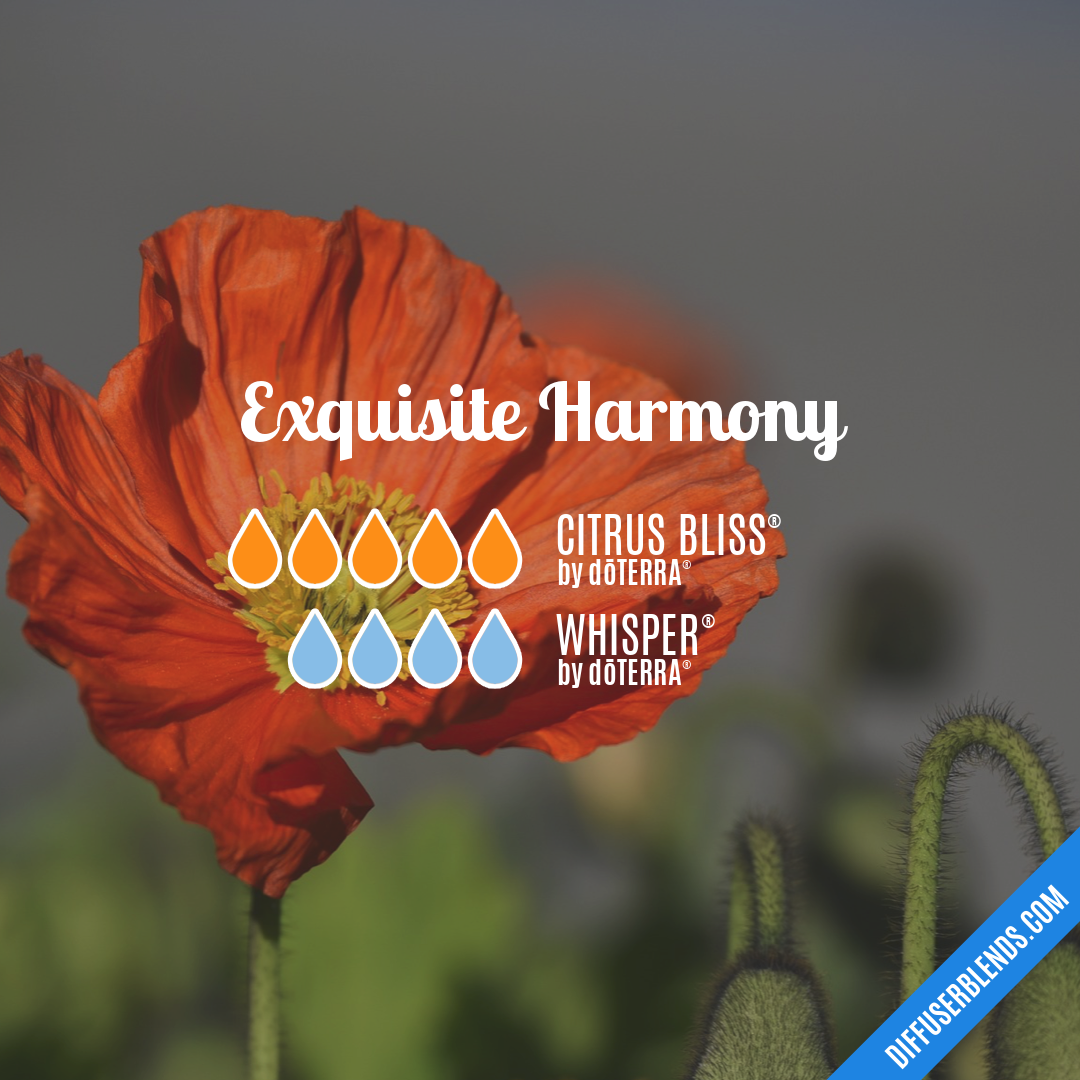 Exquisite Harmony | DiffuserBlends.com