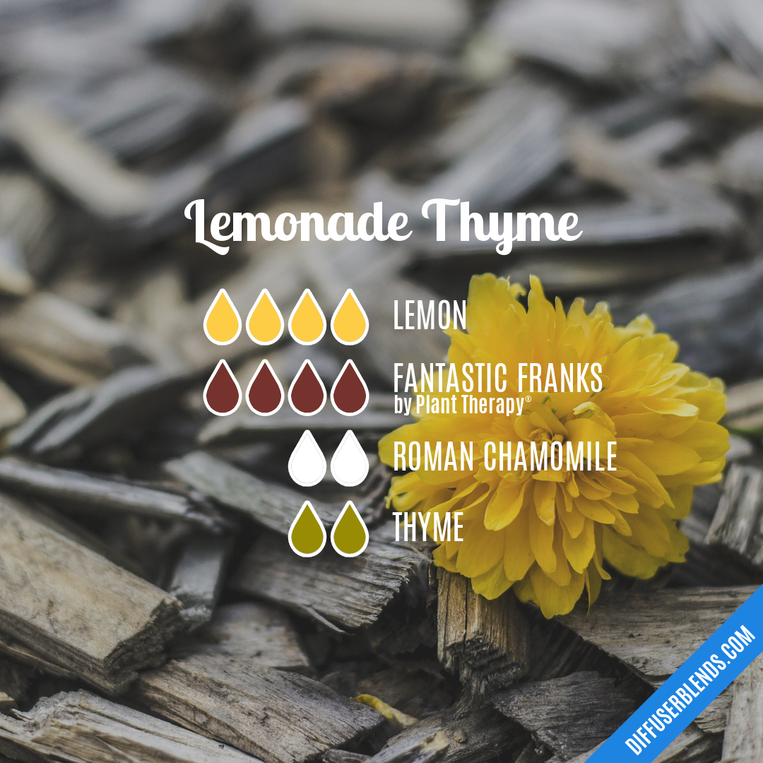 Lemonade Thyme | DiffuserBlends.com