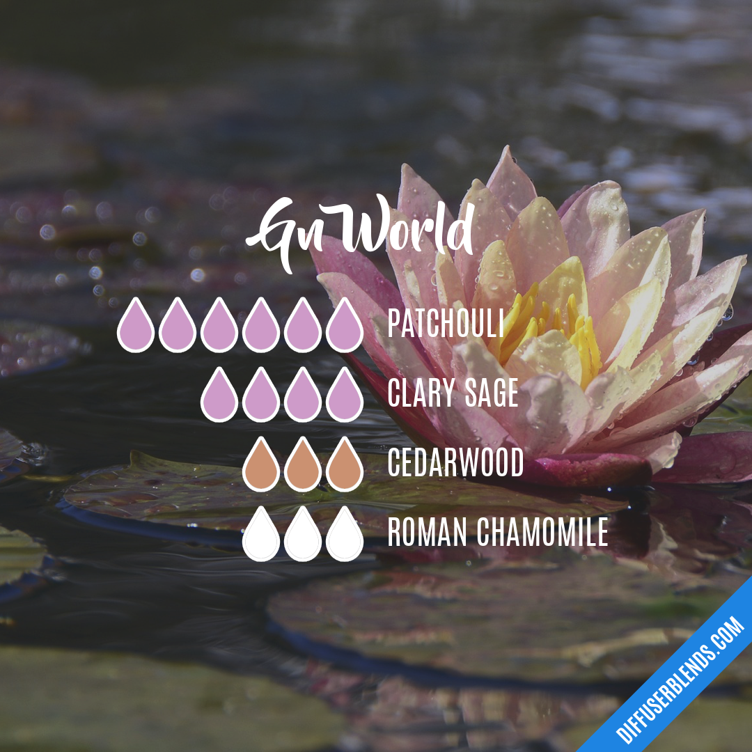 Gn World | DiffuserBlends.com