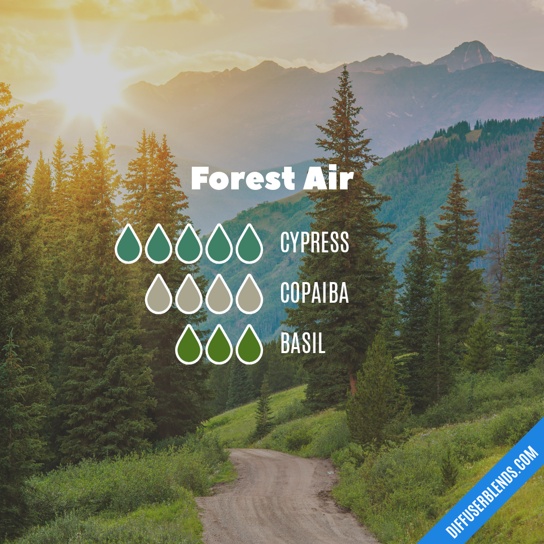 Forest Air | DiffuserBlends.com