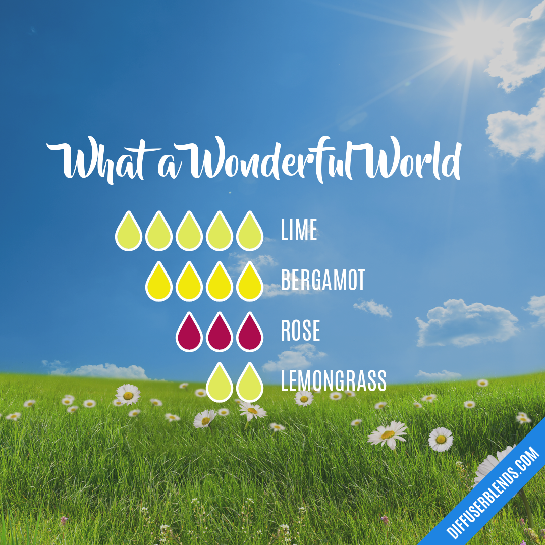 What a Wonderful World | DiffuserBlends.com