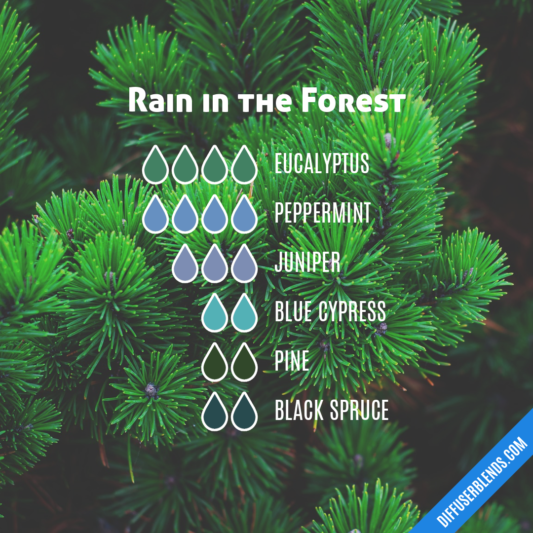Rain in the Forest | DiffuserBlends.com