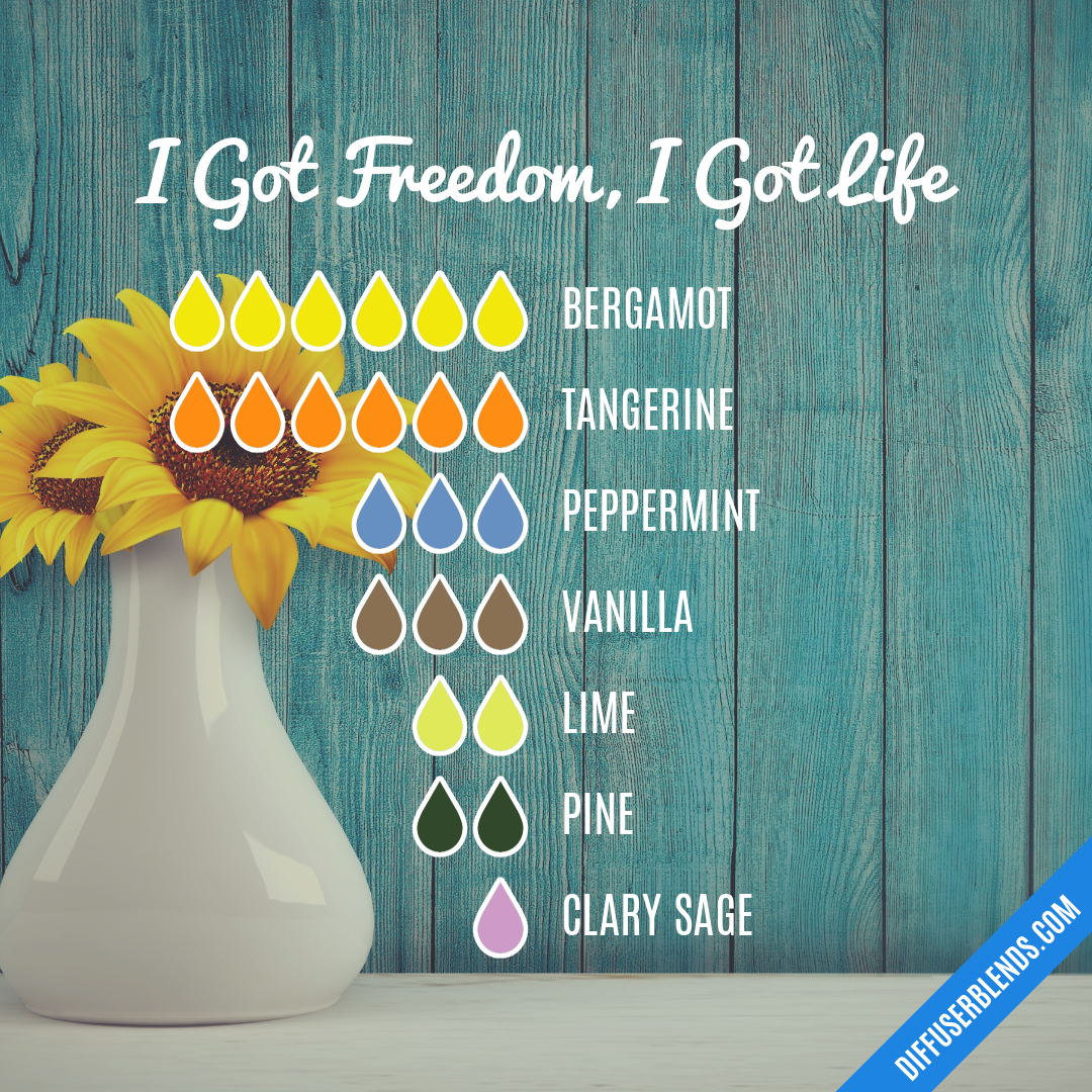 I Got Freedom, I Got Life | DiffuserBlends.com