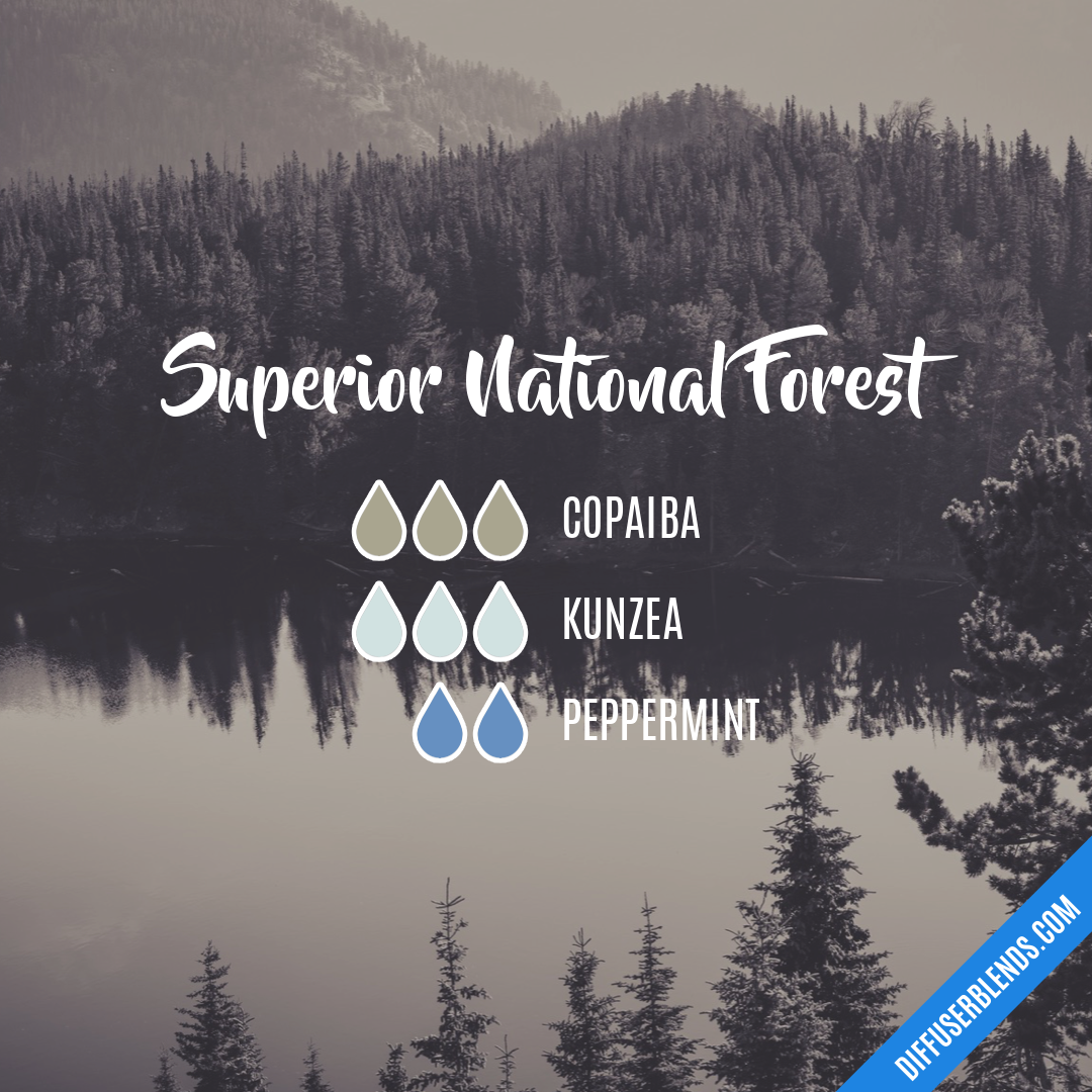 Superior National Forest | DiffuserBlends.com
