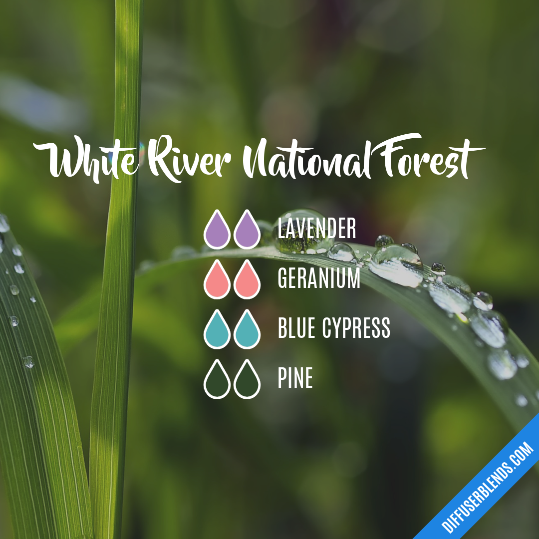 White River National Forest | DiffuserBlends.com