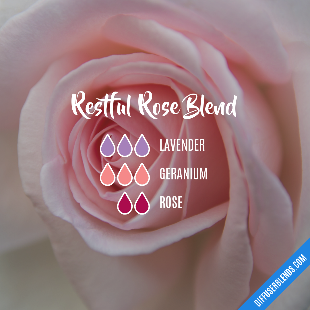 Restful Rose Blend | DiffuserBlends.com
