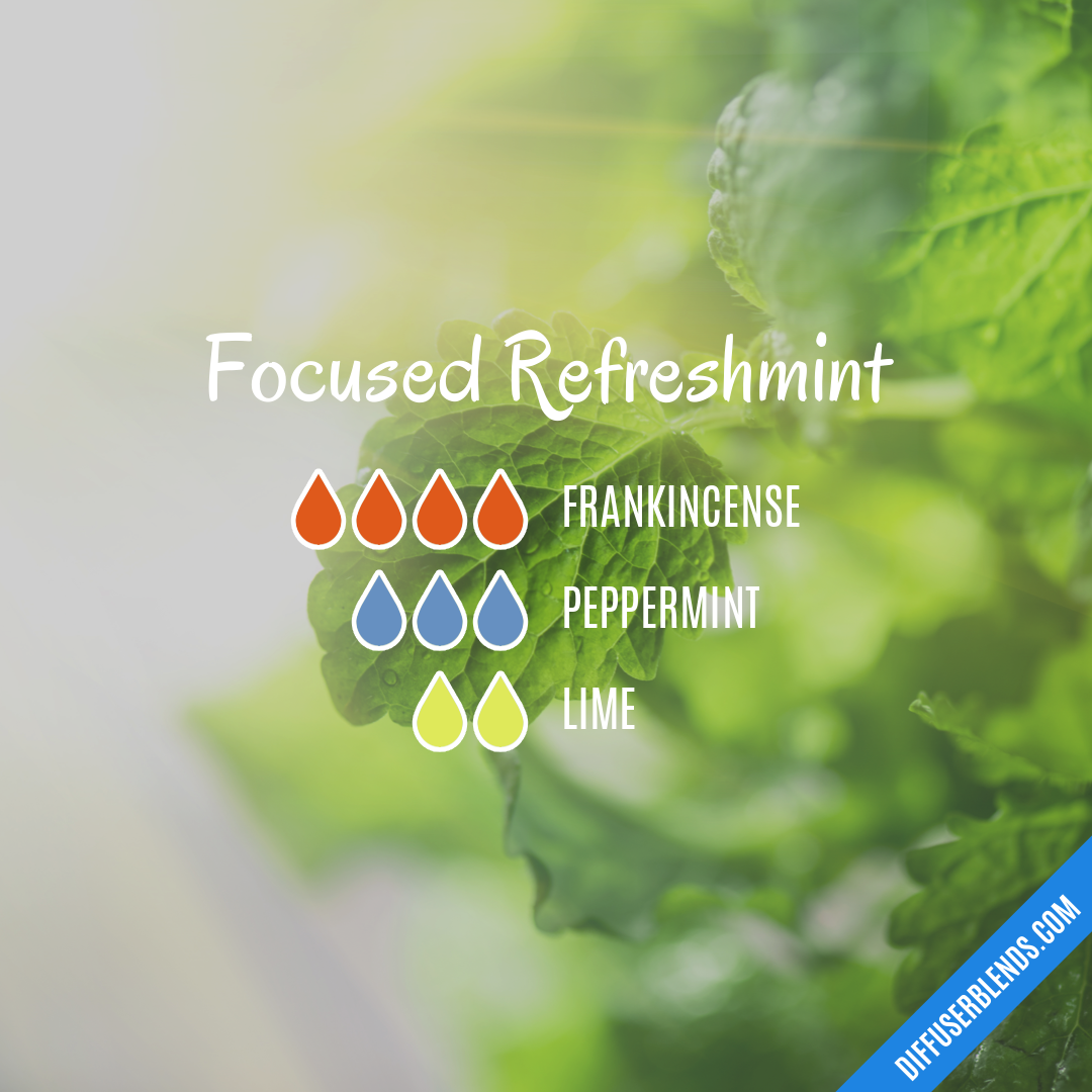 Focused Refreshmint | DiffuserBlends.com