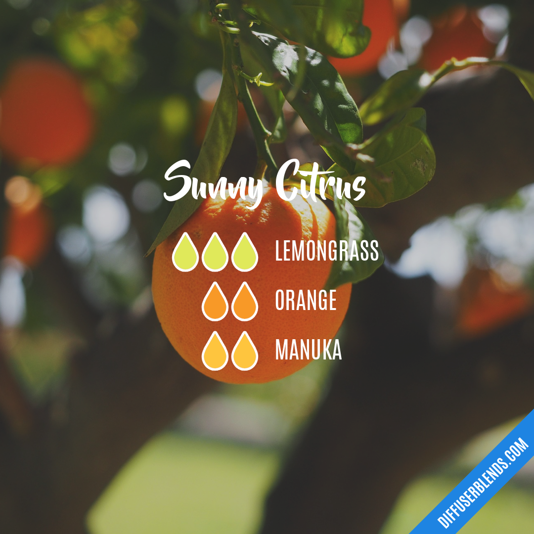 Sunny Citrus | DiffuserBlends.com