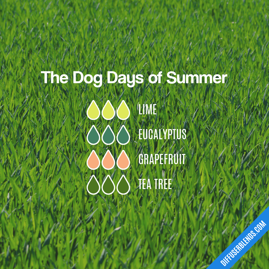 The Dog Days of Summer | DiffuserBlends.com