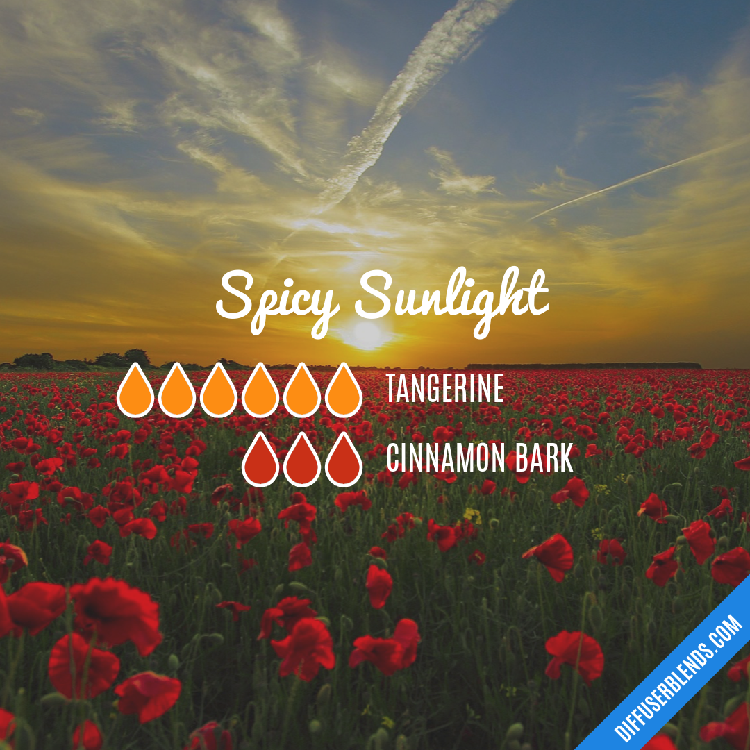 Spicy Sunlight | DiffuserBlends.com