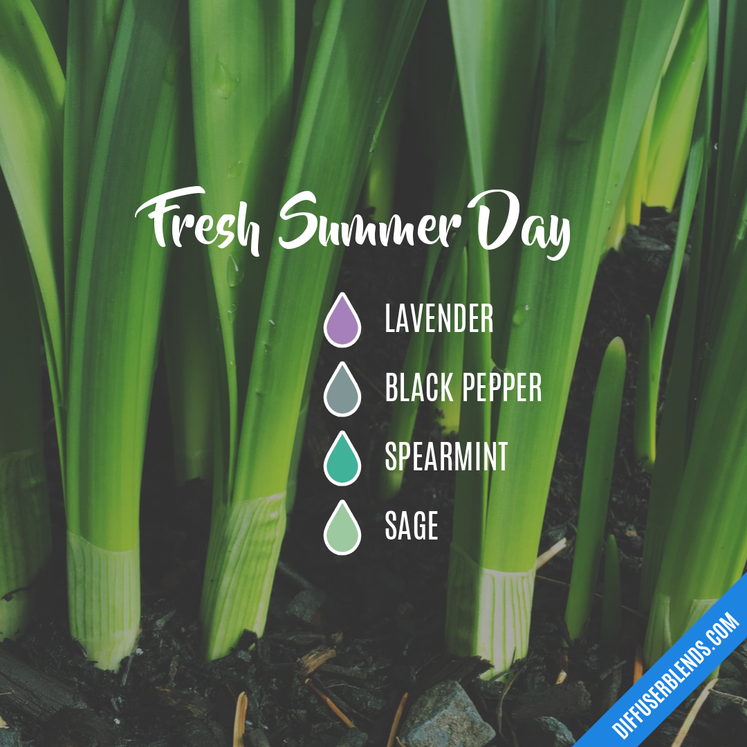 Fresh Summer Day | DiffuserBlends.com