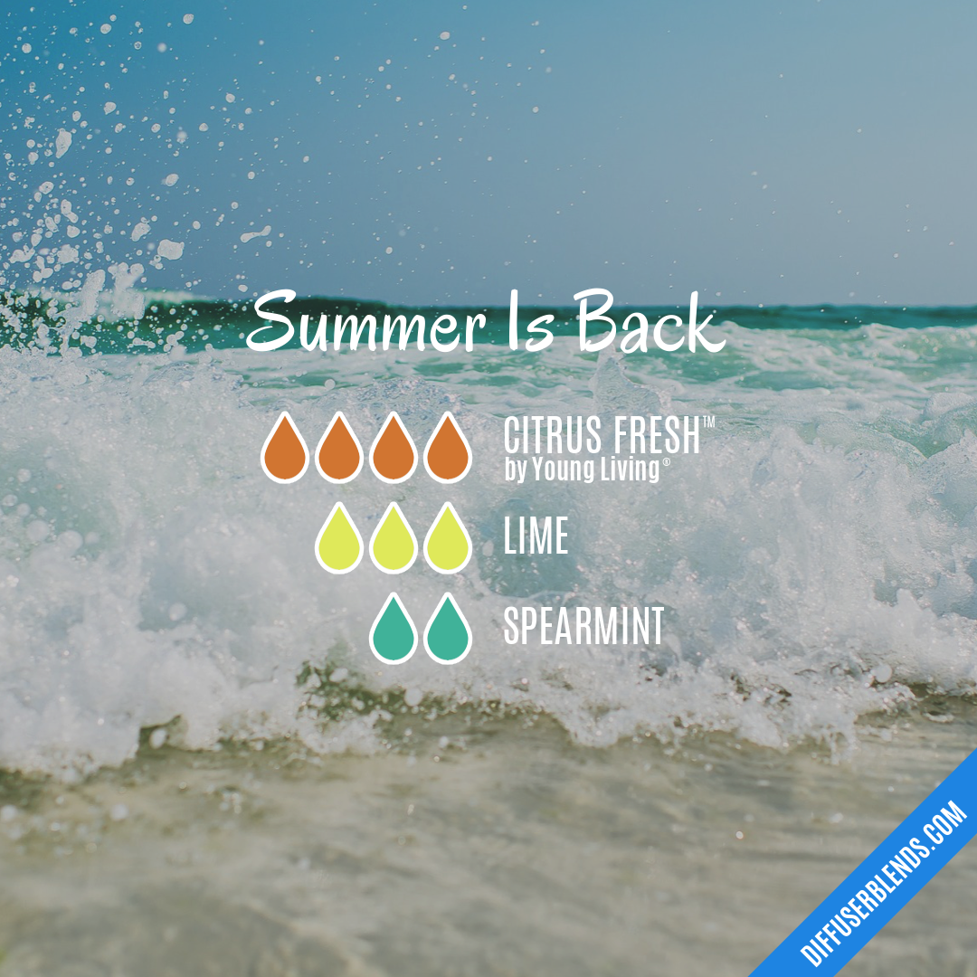 Summer Is Back | DiffuserBlends.com