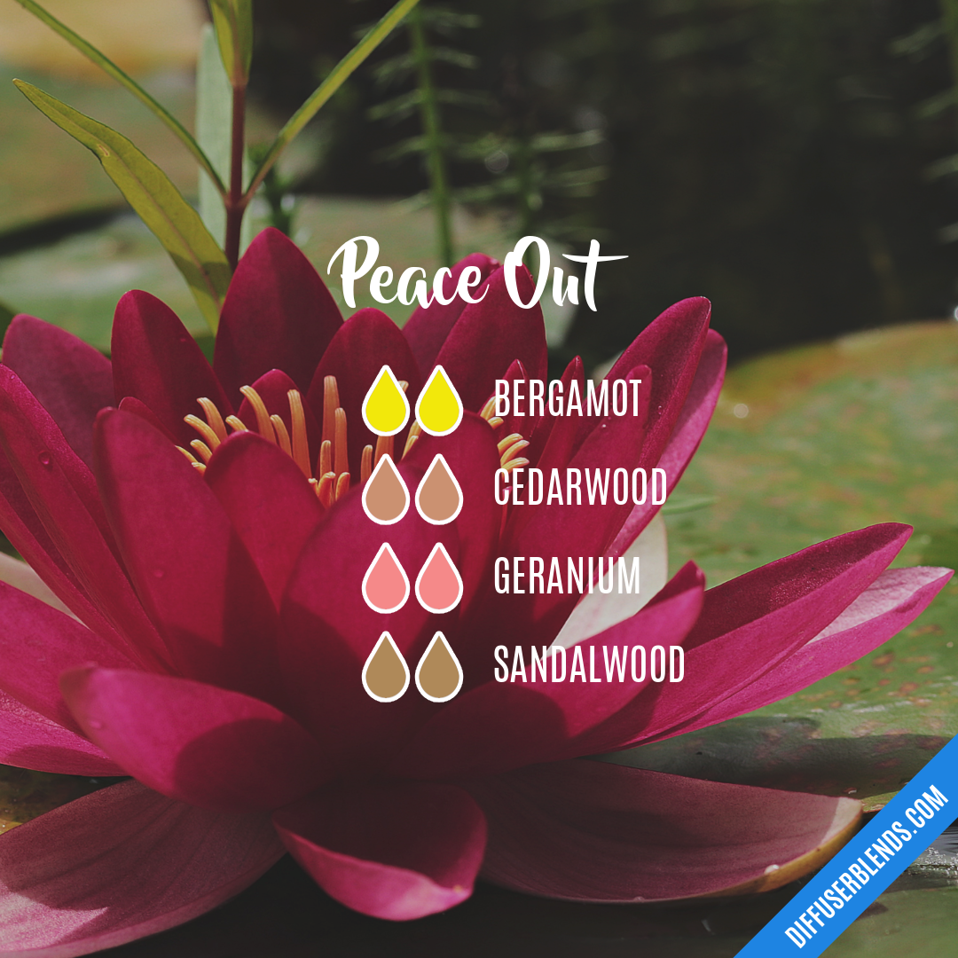 Peace Out | DiffuserBlends.com