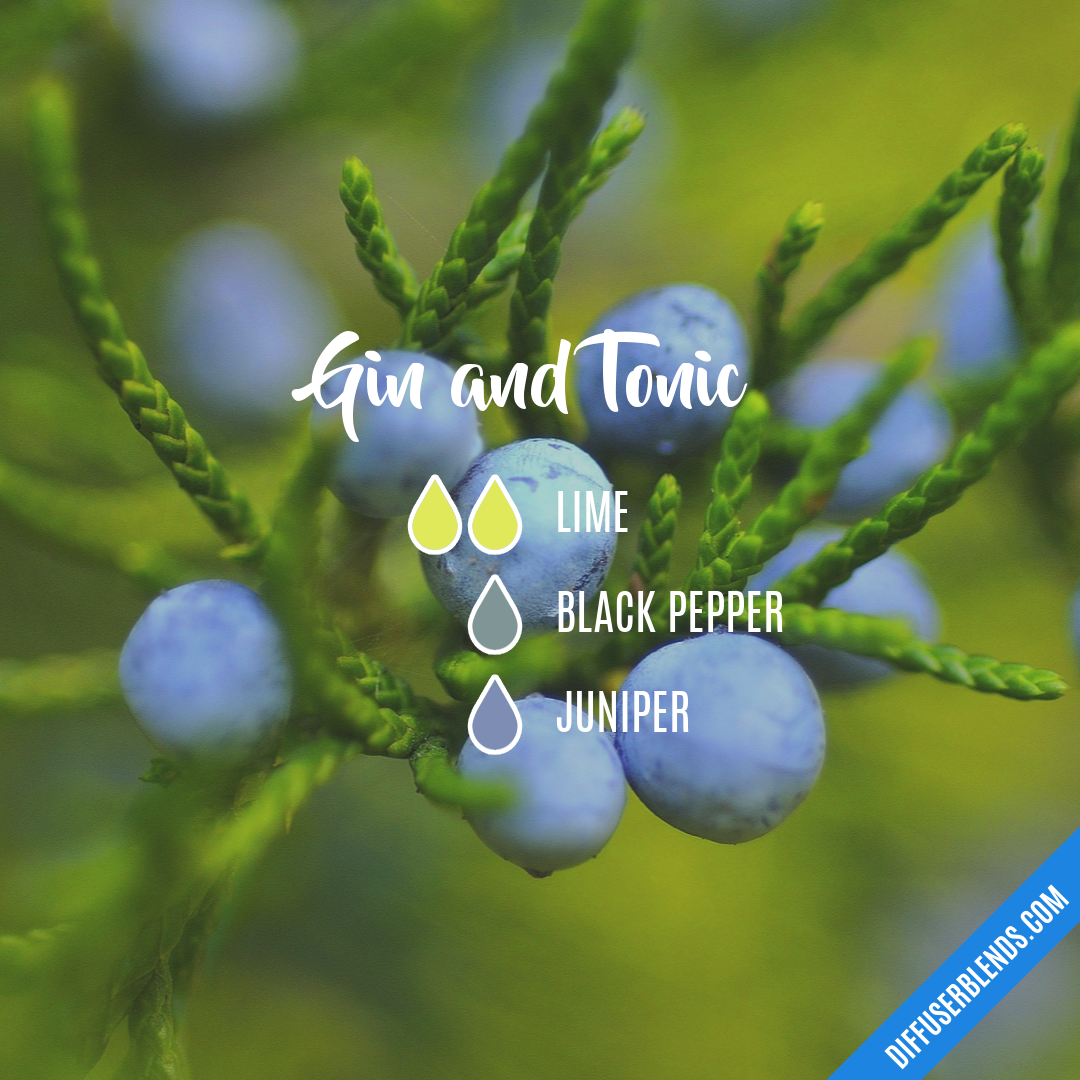Gin and Tonic | DiffuserBlends.com