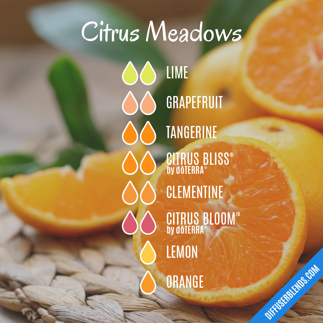 Citrus Meadows | DiffuserBlends.com