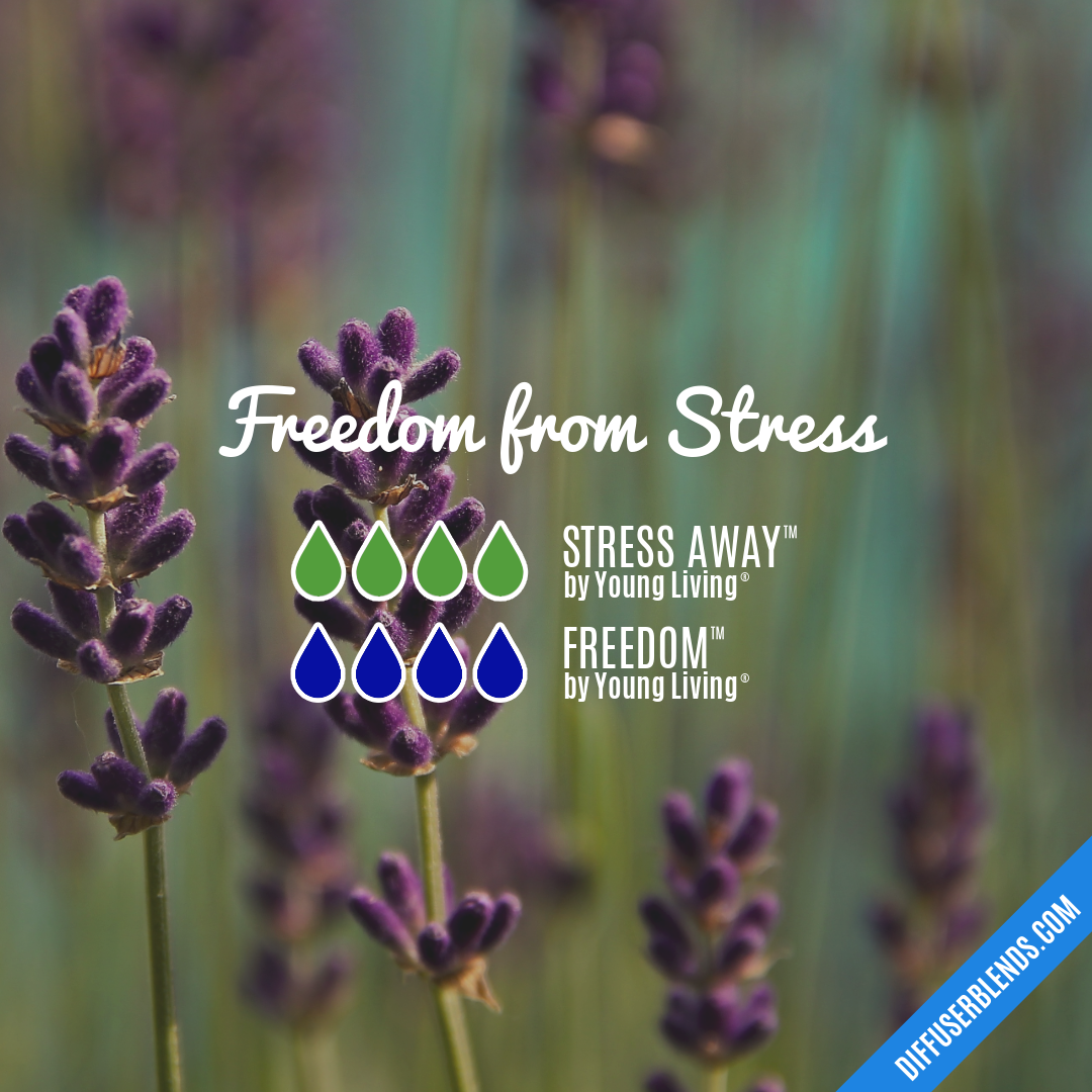 Freedom from Stress | DiffuserBlends.com